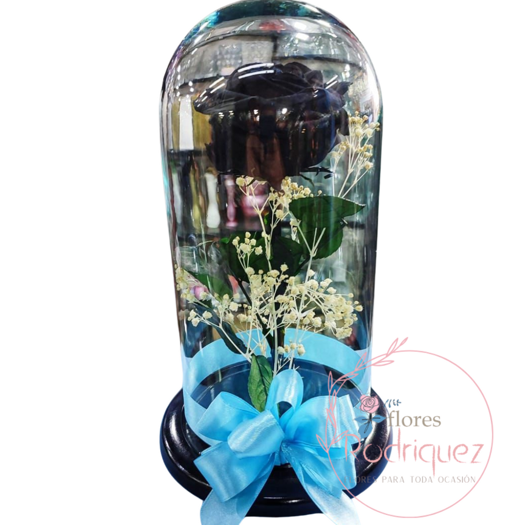 Rosas Eternas Inmortalizadas – Flores Rodriguez